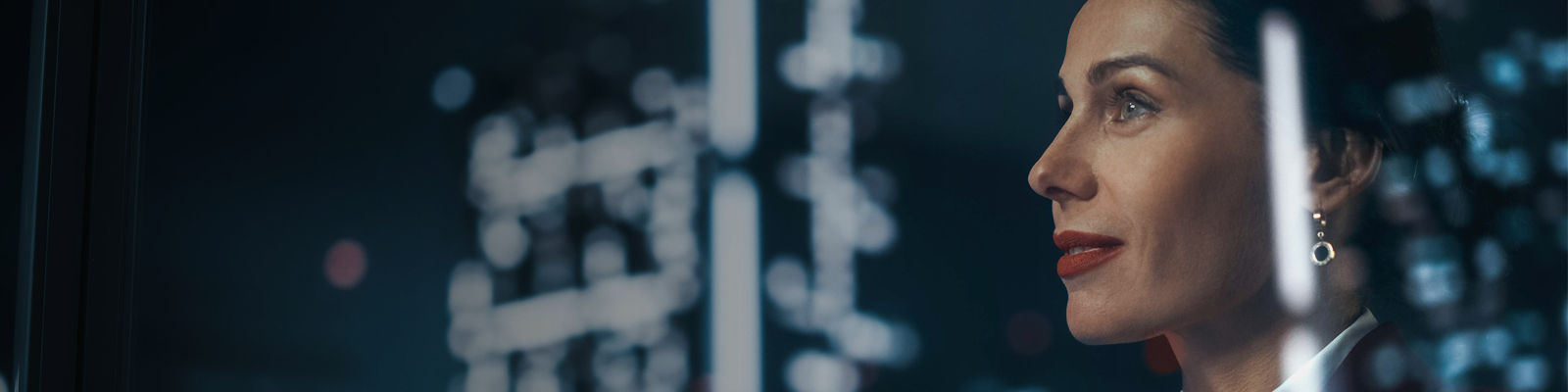 D&B InfoTorg - Error